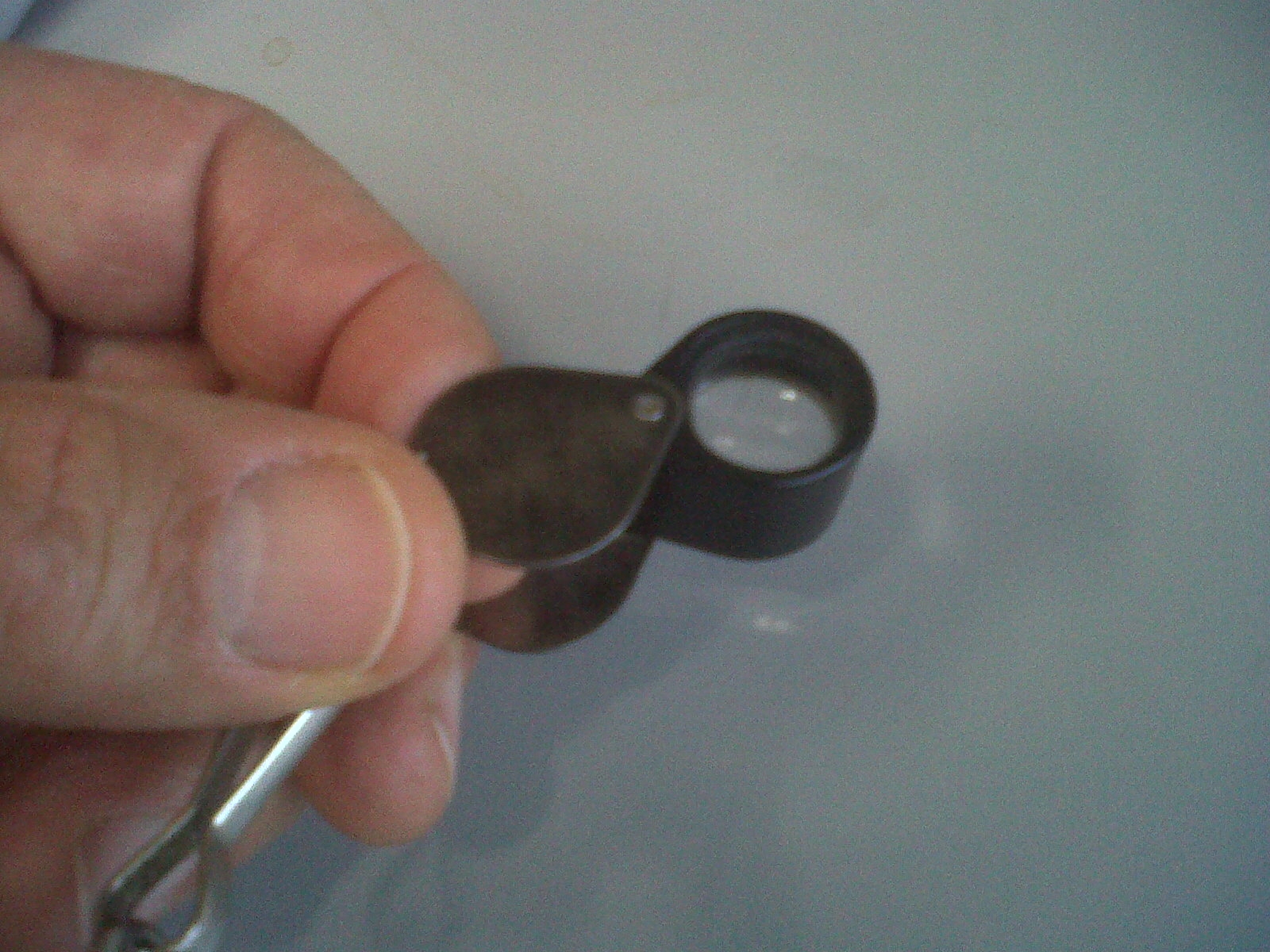 Attention IPM Scouts: a brief guide to hand lenses. – ONfloriculture