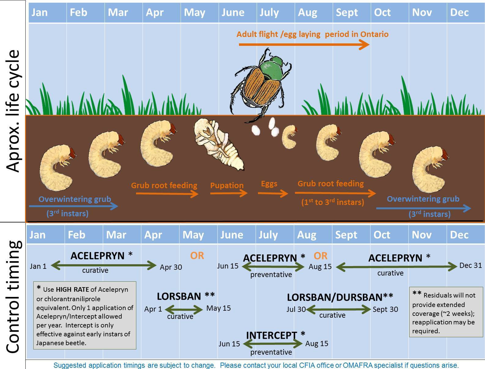 Japanese Beetles are in Flight! How to control JB under the new GCP ...