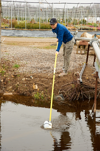 Is Your Water a Source of Plant Disease? How to Sample and Find Out ...