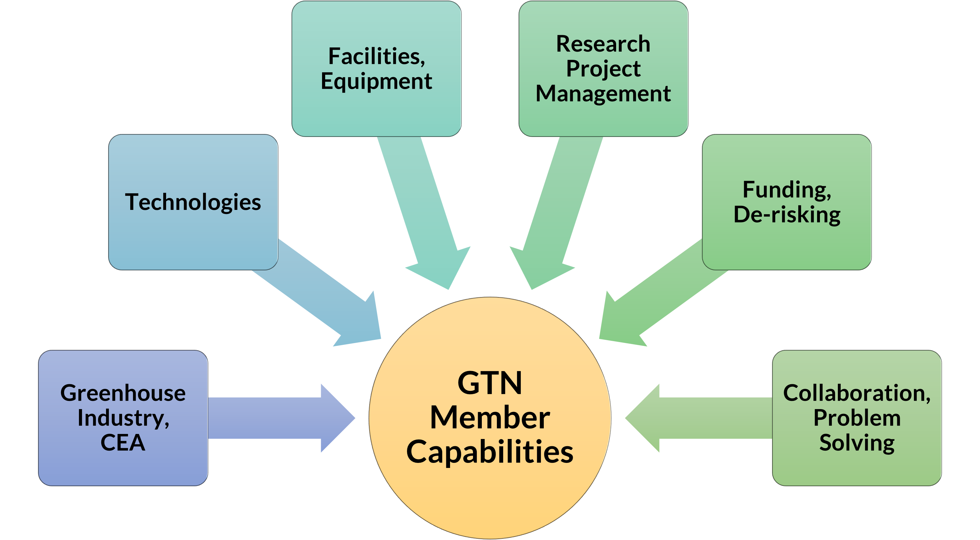 image 2 – gtn member capabilities – ONfloriculture