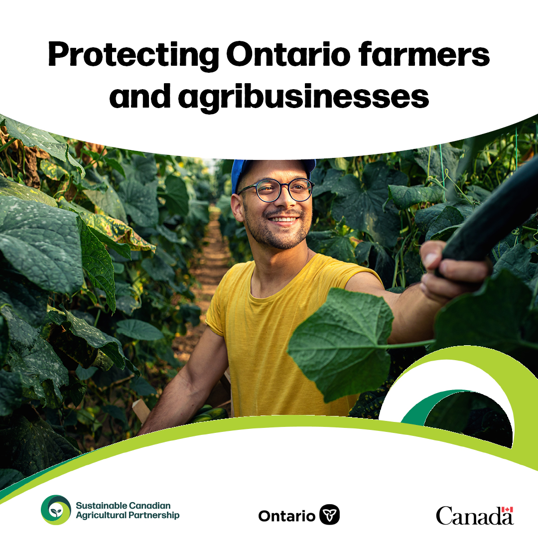 Funding ALERT: Market Diversification and Trade Resiliency Initiative ...
